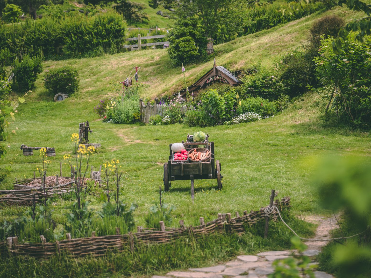 Hobbiton With Kids: Things to Know before You Go