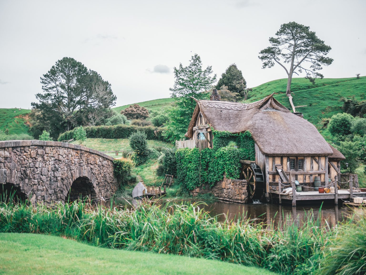 Hobbiton With Kids: Things to Know before You Go